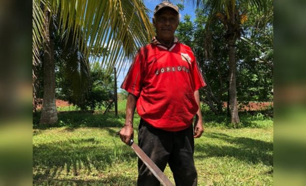 La historia de Mechito, el chapín que causa sensación en redes sociales ...